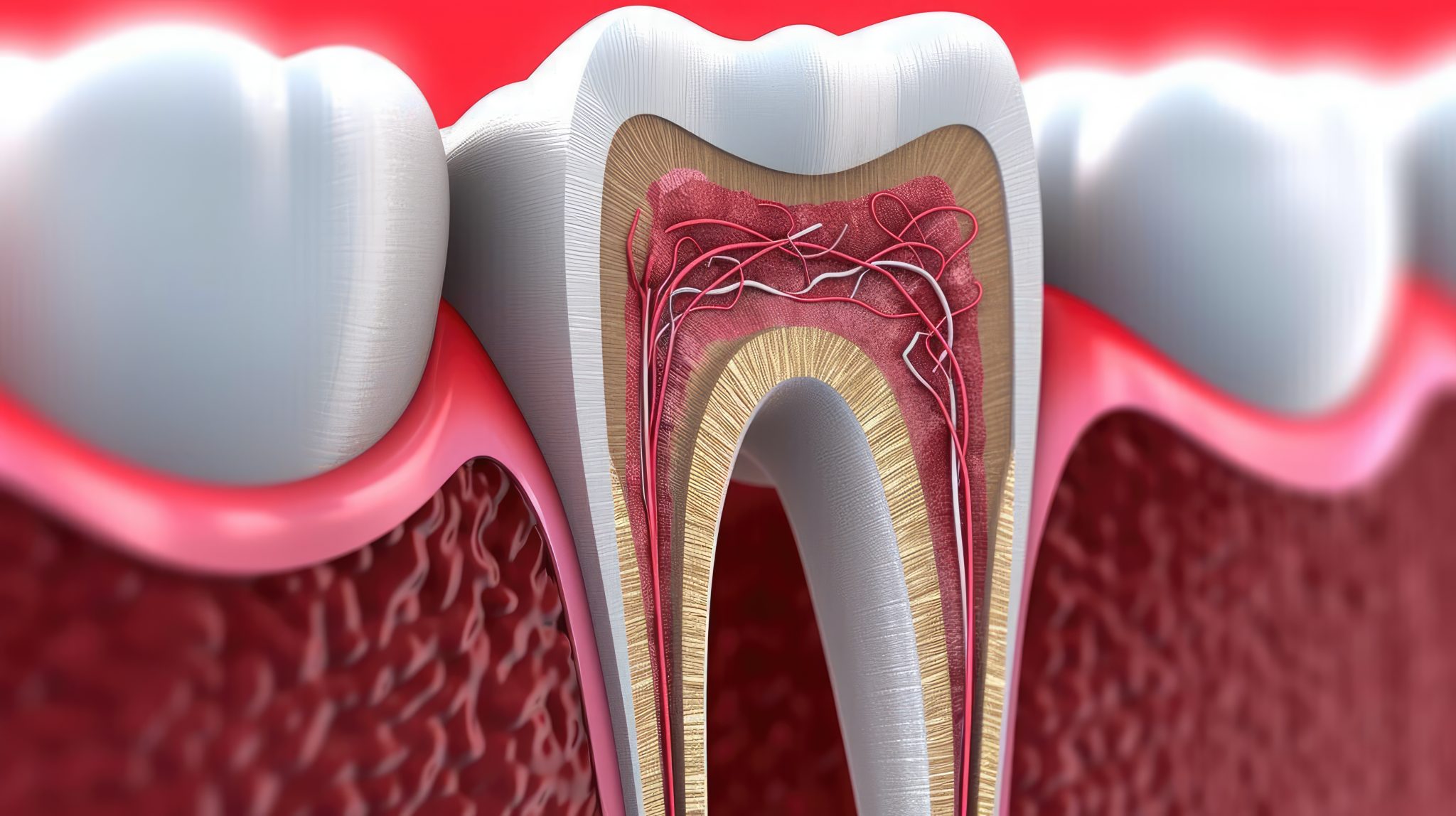 Can A Dentist Remove A Root Canal Tooth? - Best Dental