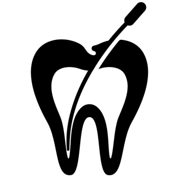 Full Bony Impacted Wisdom Teeth - An Overview - Best Dental