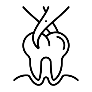 Full Bony Impacted Wisdom Teeth - An Overview - Best Dental